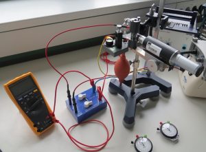 What is Display? - Working Principle, Types, & Specifications