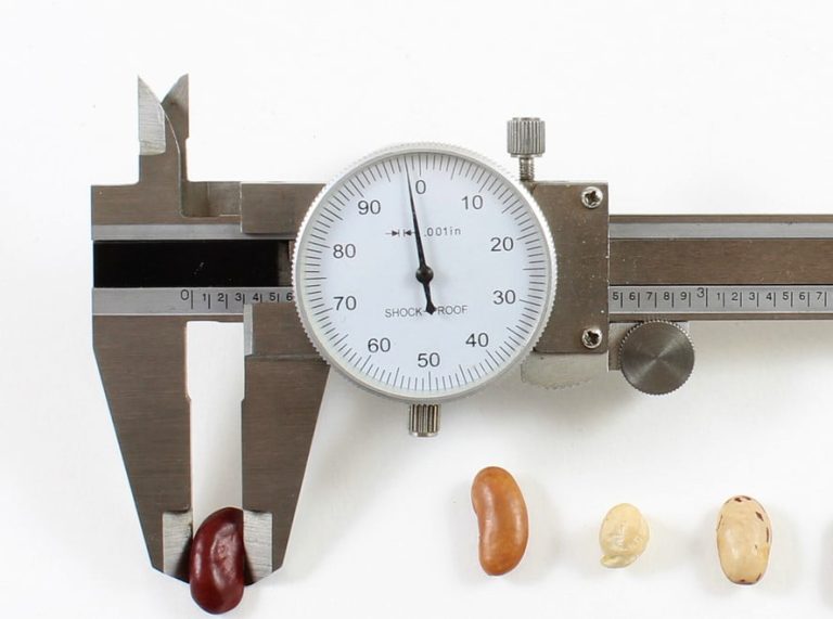 How to Read Dial Caliper (in inches, mm, and fractions)